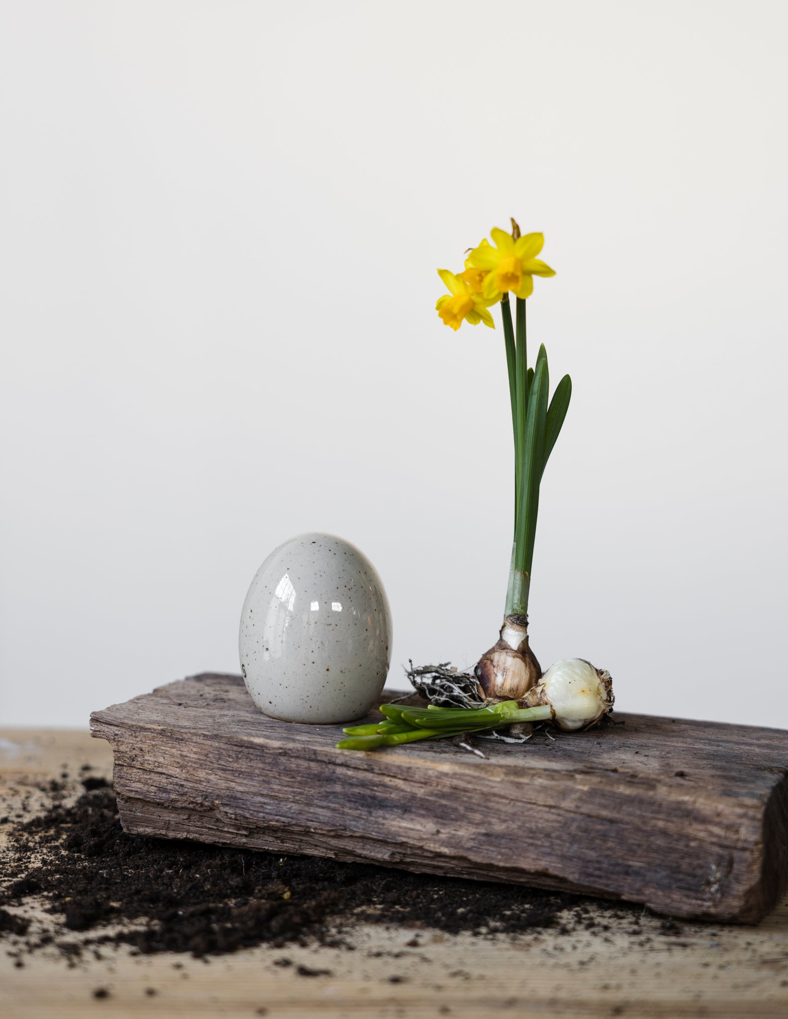 Osterdeko, Frühlingsdeko - DecorbyMary